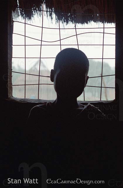 Art and Illustration